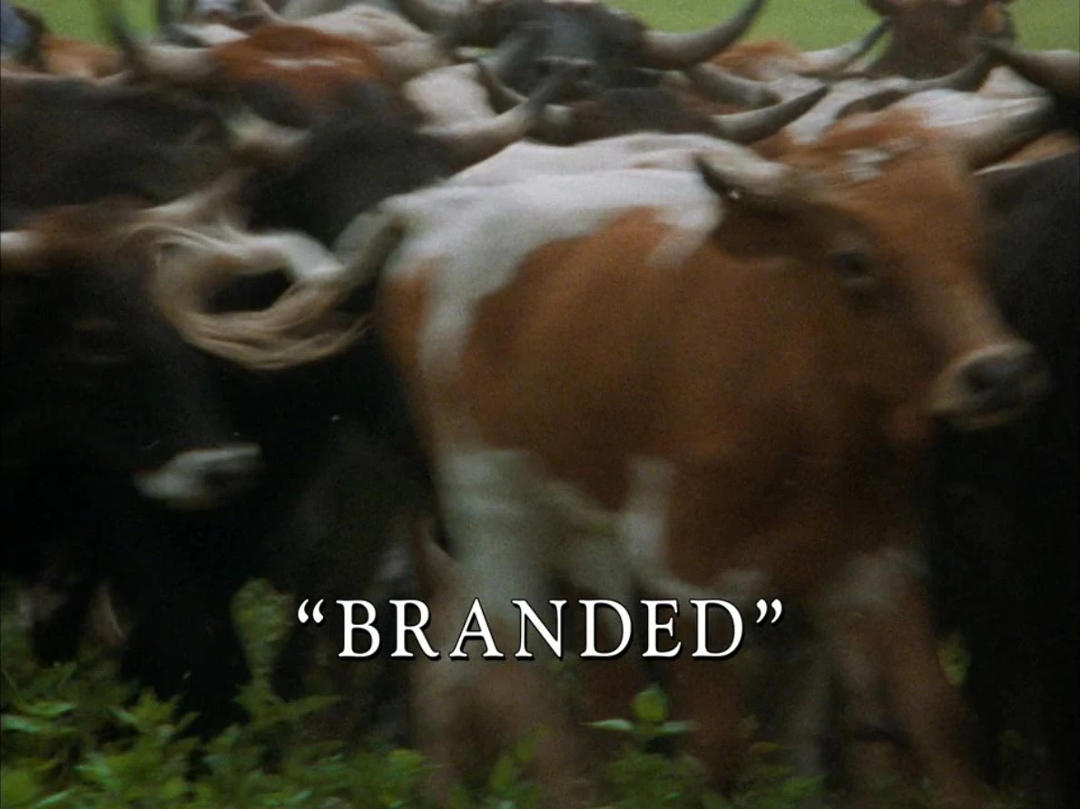 Branded | Walkerpedia | Fandom