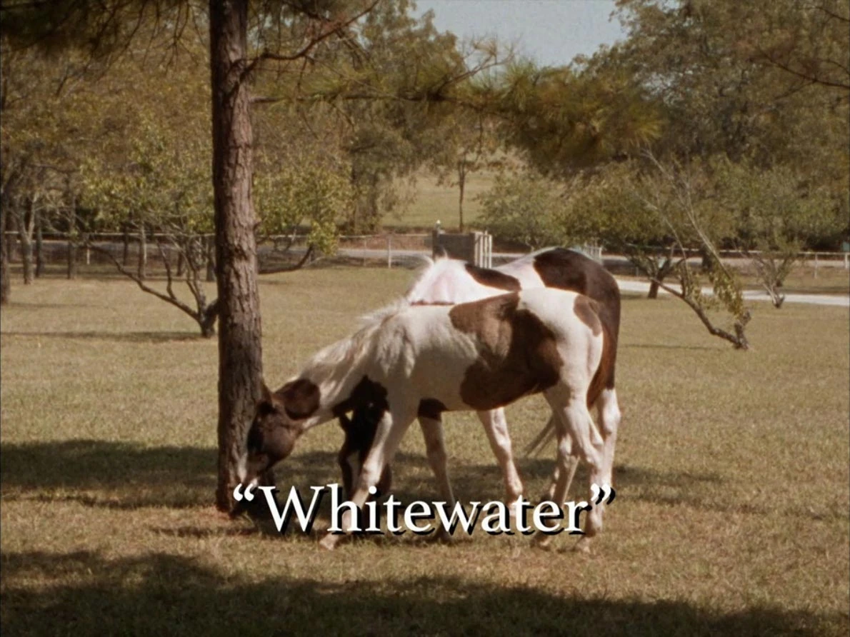 Whitewater: Part 1 | Walkerpedia | Fandom