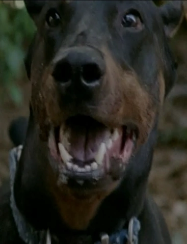 Duke | Wiki The Walking Dead | Fandom