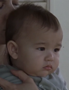 Hershel Rhee (univers TV) | Wiki The Walking Dead | Fandom