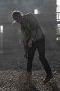 End of the Line/Gallery | Walking Dead Wiki | Fandom