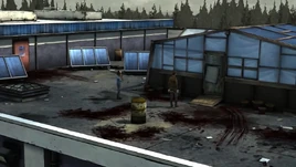 Tisha (Telltale) | Walking Dead Wiki | Fandom