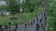 Herd | Walking Dead Wiki | Fandom