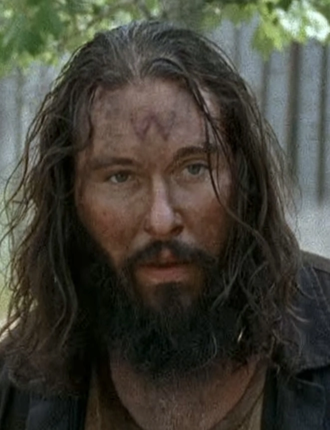 Wolf 4 (TV Series) | Walking Dead Wiki | Fandom