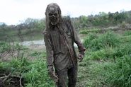 The Door/Gallery | Walking Dead Wiki | Fandom