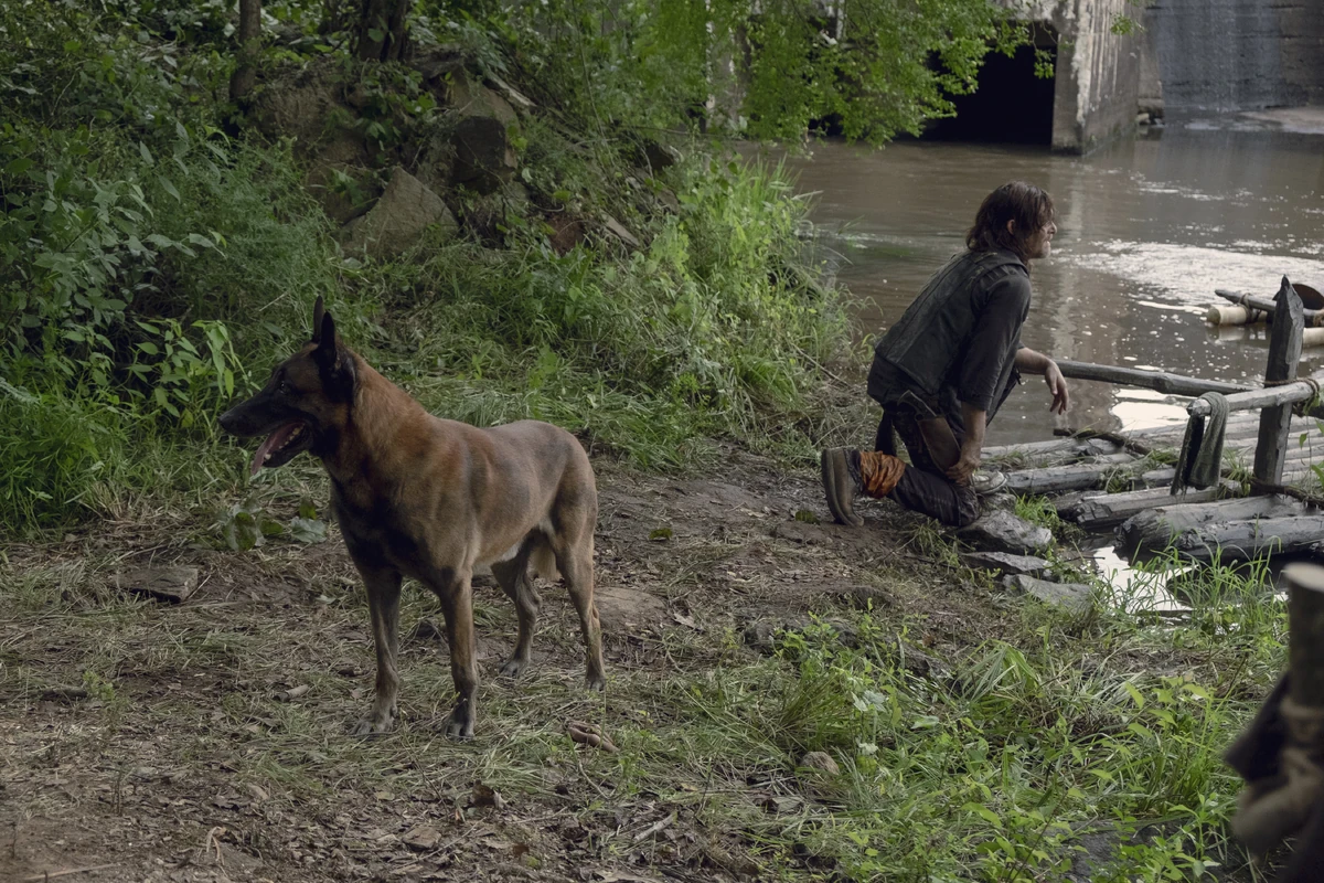 Dog (TV Series)/Gallery | Walking Dead Wiki | Fandom