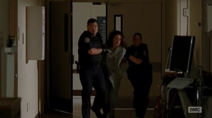 Joan (TV Series)/Gallery | Walking Dead Wiki | Fandom