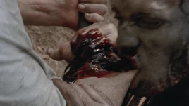 Christopher (TV Series) | Walking Dead Wiki | Fandom