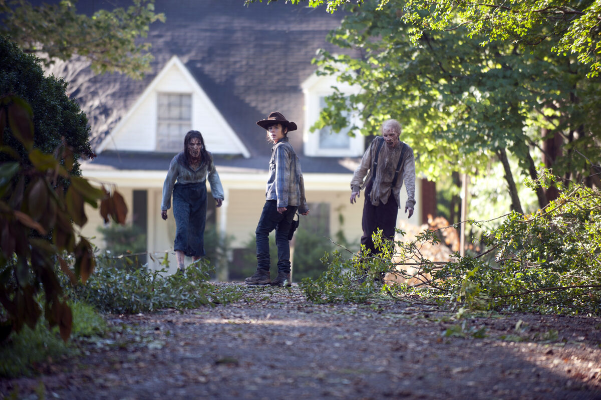 Residential Neighborhood | Walking Dead Wiki | Fandom