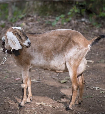 Tabitha (TV Series)/Gallery | Walking Dead Wiki | Fandom