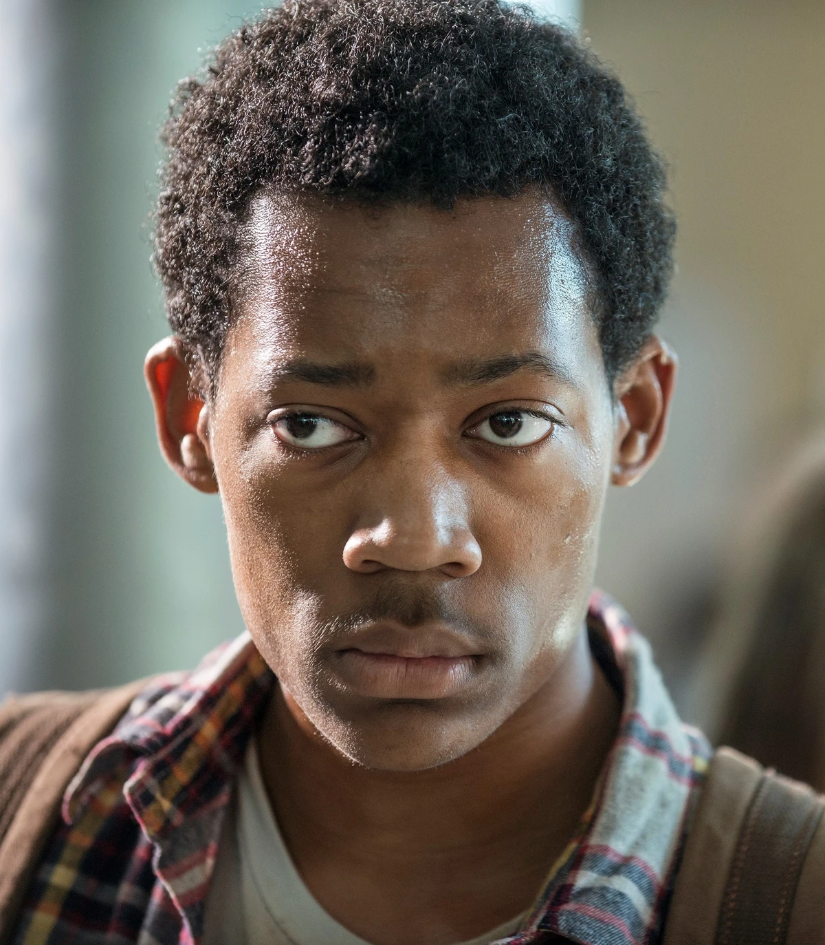 Noah (Grady Memorial) | Wikia The Walking Dead tiếng Việt | Fandom