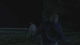 Shane Walsh (TV Universe) | Walking Dead Wiki | Fandom