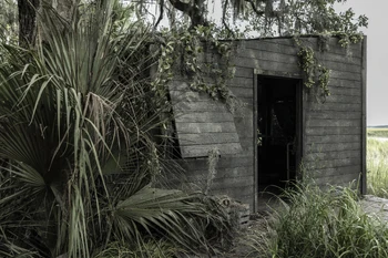 June's Hideout | Walking Dead Wiki | Fandom