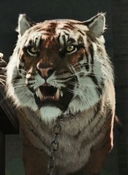 Shiva (TV Series)/Gallery | Walking Dead Wiki | Fandom