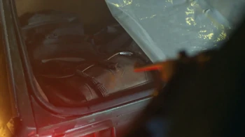 Emma (Fear) | Walking Dead Wiki | Fandom