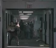 U.S. Military | Walking Dead Wiki | Fandom