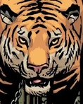 Shiva (Comic Series) | Walking Dead Wiki | Fandom