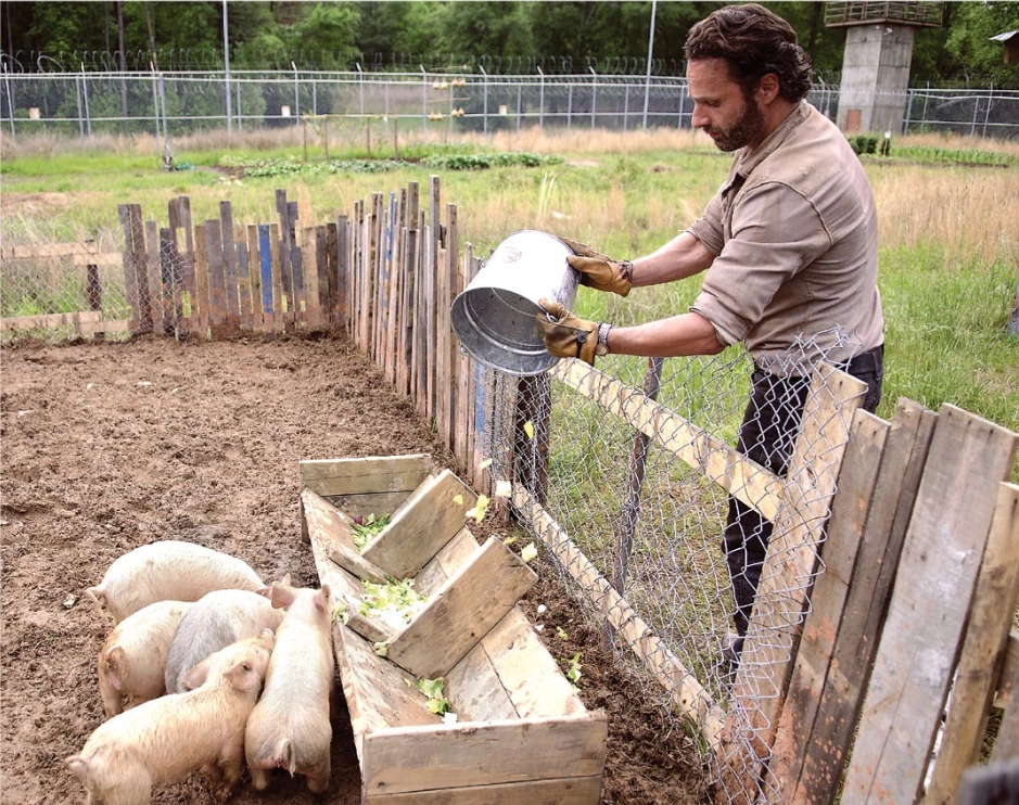 The Piglets (TV Series) | Walking Dead Wiki | Fandom