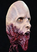 Costumes & Masks | Walking Dead Wiki | Fandom
