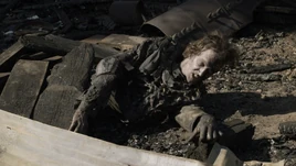 Troy (TV Series) | Walking Dead Wiki | Fandom