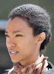 Sasha Williams (TV Series) | Walking Dead Wiki | Fandom