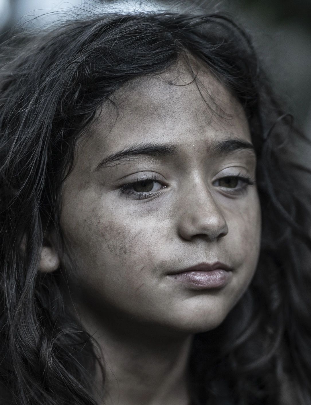 Hibou (Daryl Series) | Walking Dead Wiki | Fandom