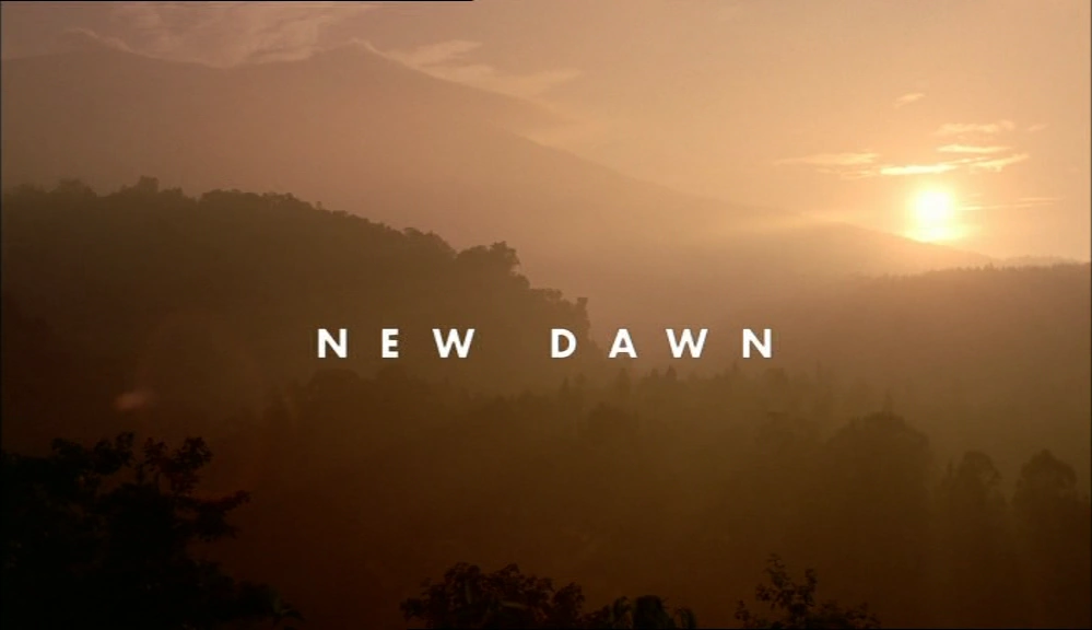 New Dawn | Walking With Wikis | Fandom