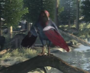 Alexornis | Walking With Wikis | Fandom