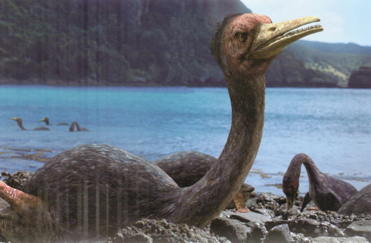 Hesperornis | Walking With Wikis | Fandom