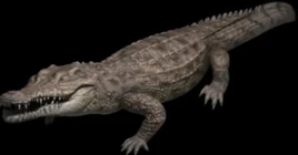 Parasuchus | Walking With Wikis | Fandom