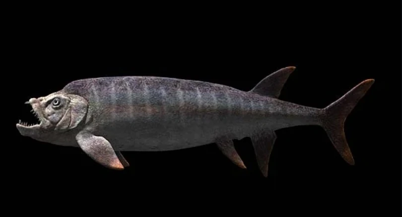 Xiphactinus | Walking With Wikis | Fandom