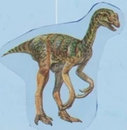 Chirostenotes | Walking With Wikis | Fandom