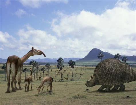 Neogene Period The Neogene Period ScienceDirect