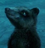 Alphadon | Walking With Wikis | Fandom