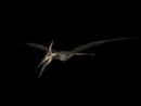 Pteranodon | Walking With Wikis | Fandom