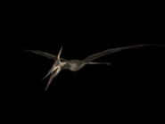 Pteranodon | Walking With Wikis | Fandom