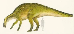 Walking With Dinosaurs Anatotitan