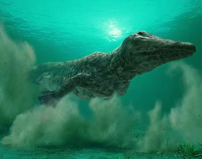 Ambulocetus | Walking With Wikis | Fandom