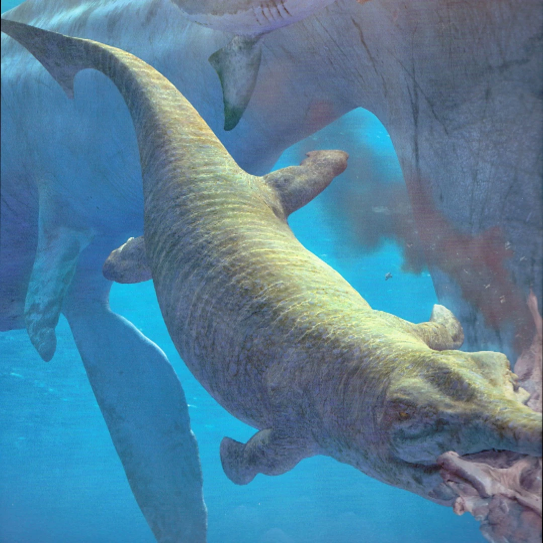 Metriorhynchus | Walking With Wikis | Fandom