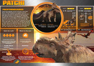 Patchi | Walking With Wikis | Fandom