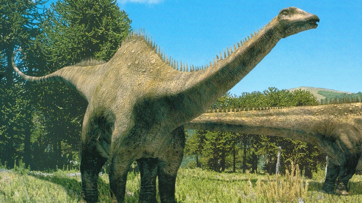 Diplodocus | Walking With Wikis | Fandom