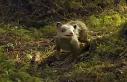 Walking With Dinosaurs Alphadon