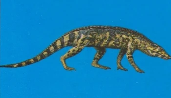 Hesperosuchus | Walking With Wikis | Fandom
