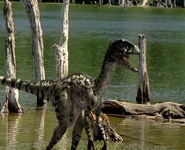 Dromaeosaurus | Walking With Wikis | Fandom