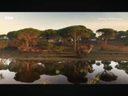 Sobek | Walking With Wikis | Fandom