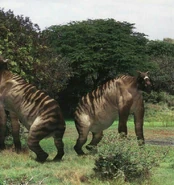 Ancylotherium | Walking With Wikis | Fandom