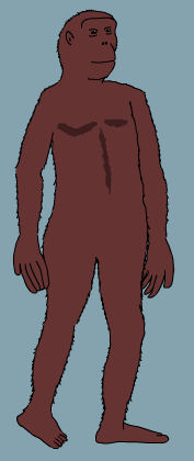 Walking With Beasts Australopithecus