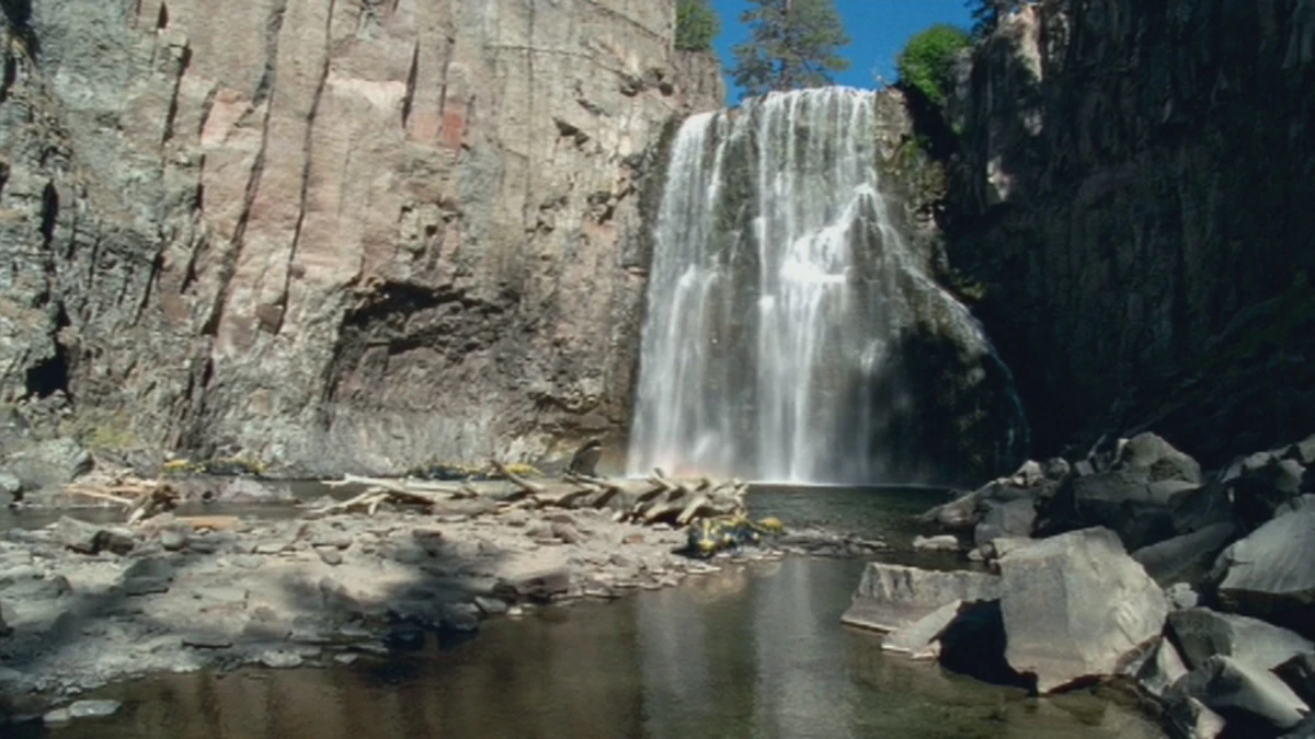 Devonian | Walking With Wikis | Fandom