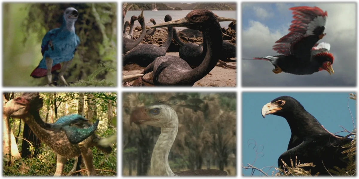 Bird | Walking With Wikis | Fandom