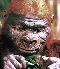 Paranthropus boisei | Walking With Wikis | Fandom